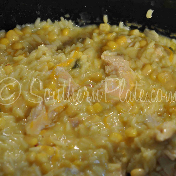 Velveeta Cheesy Chicken Tetrazzini Recipe | Cindber | booksnergrepilto