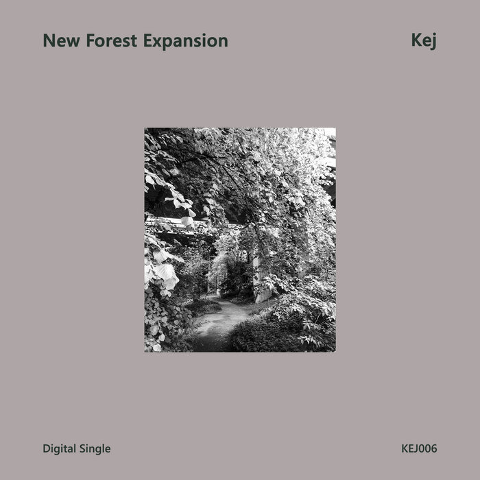 New Forest Expansion | Kej