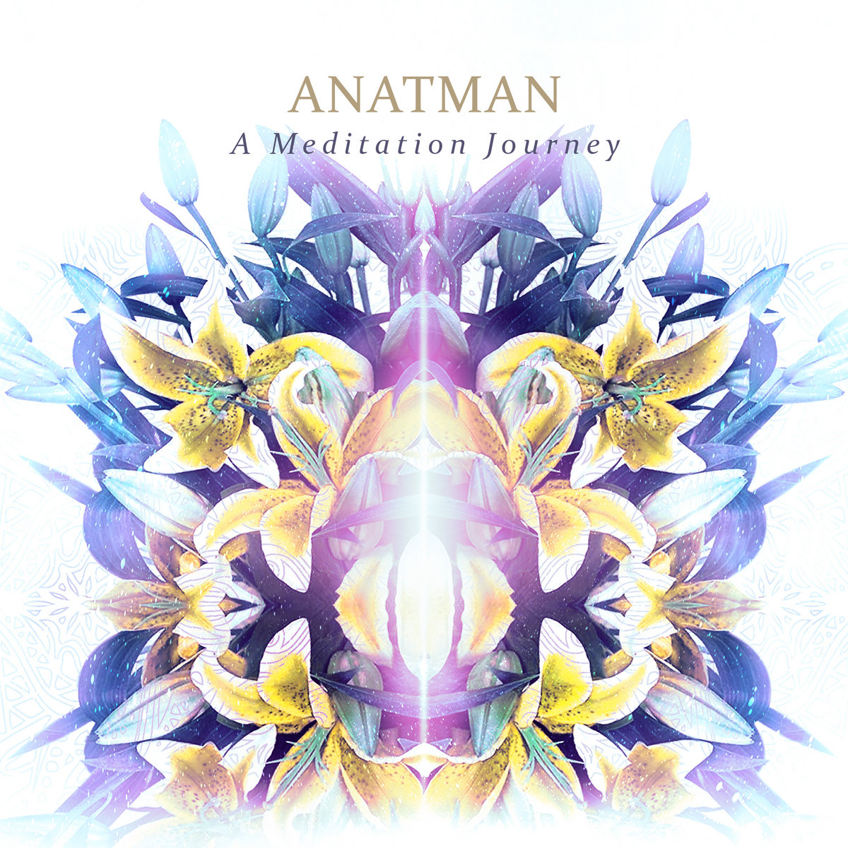 A Meditation Journey | Anatman