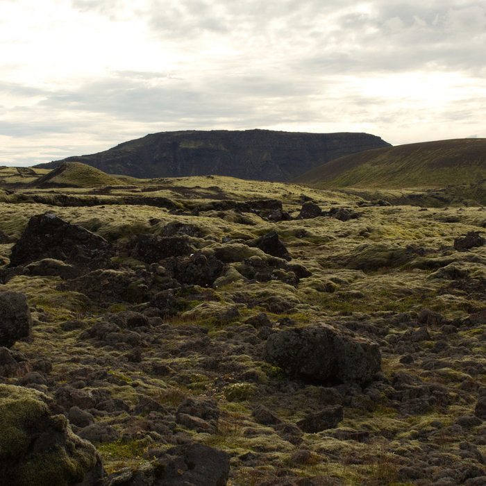 Music for Blood Memory | Timothy Cleary