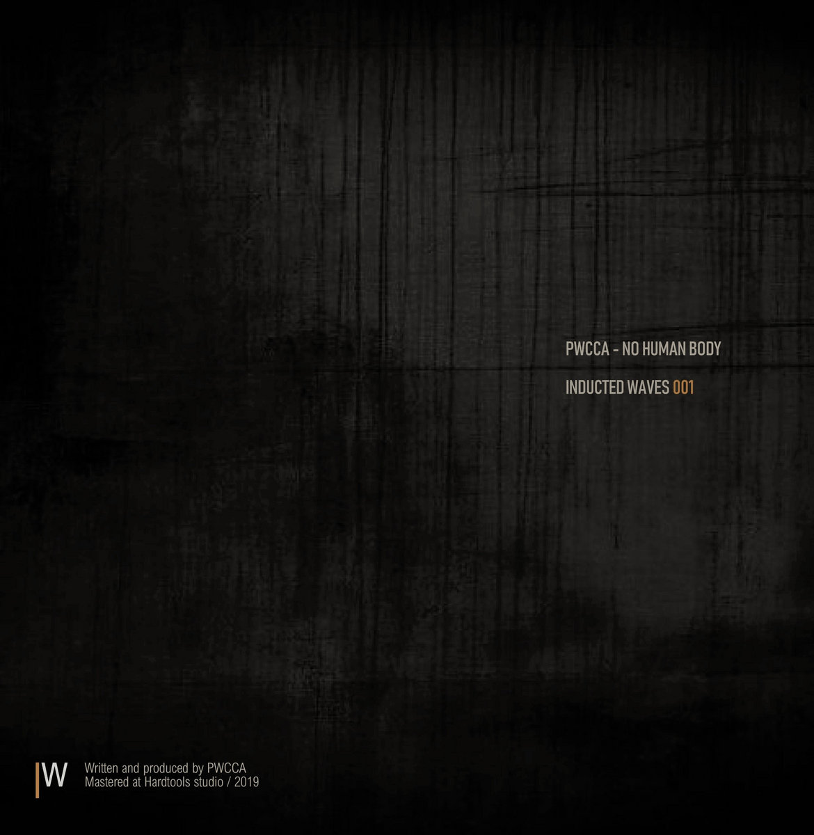 No human body (Inducted waves 001) | PWCCA | Hardtools records