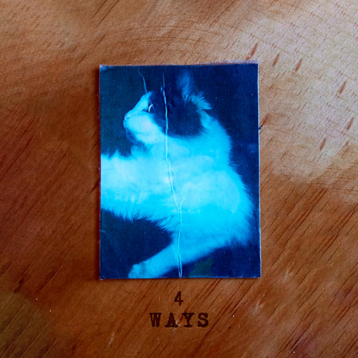 4 Way Split: 4 Ways | Movimiento Circular de los Árboles