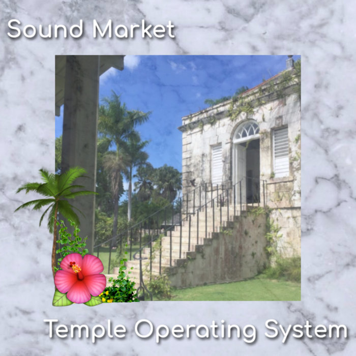 Temple Operating System (CASSETTE EDITION) | Sound Market ...