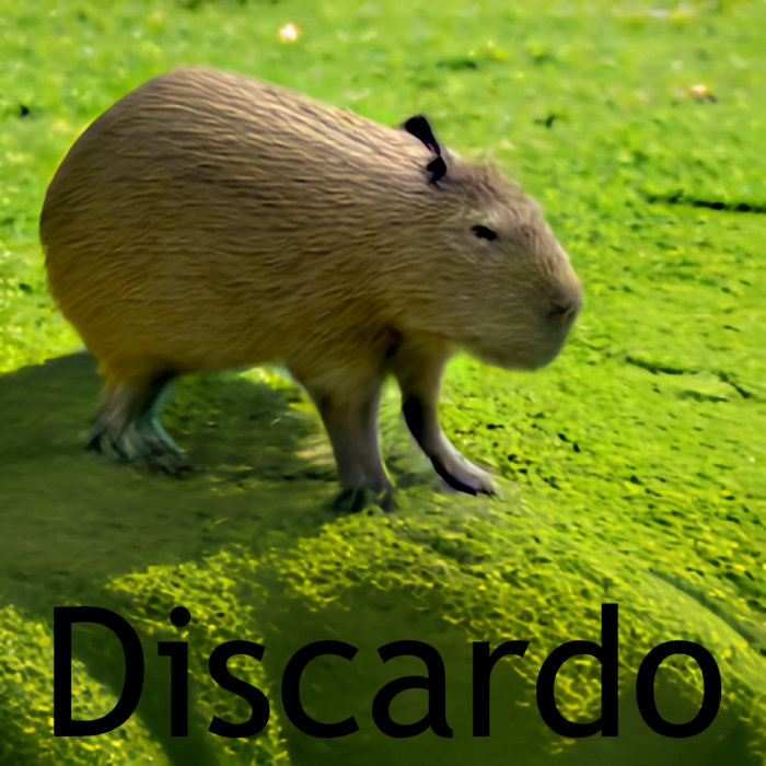 Discardo | Matías Giménez