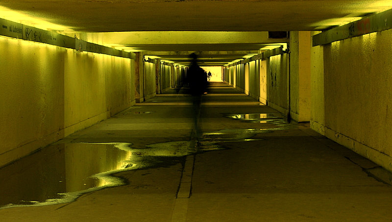 Unknown | Pinwheel | The Pinwheel