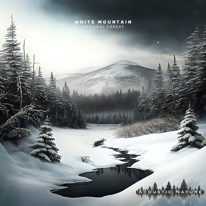 Mount Nancy Winter | Pure Nature Sounds | Acoustic Nature