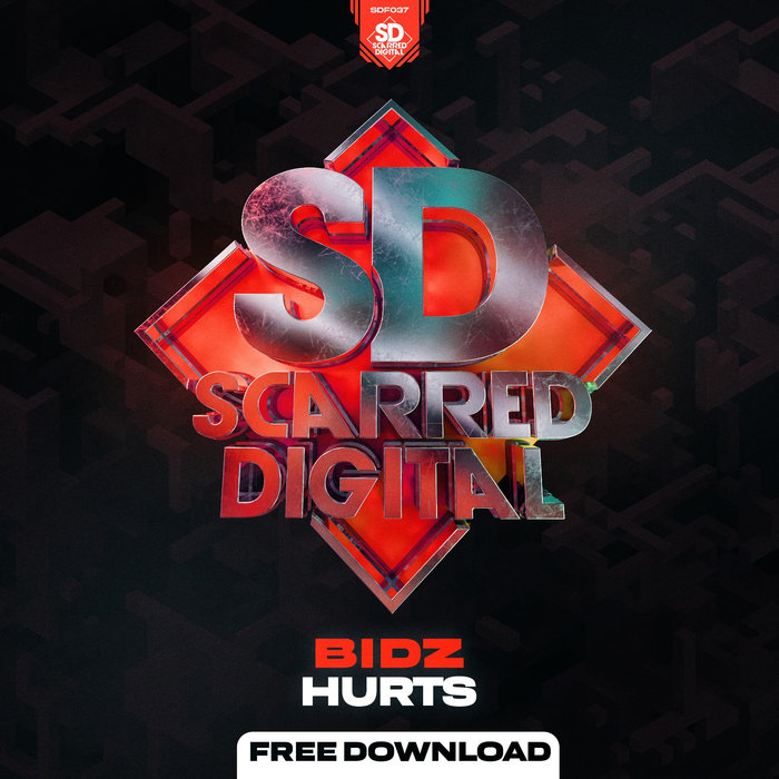SDF037 Bidz - Hurts | Scarred Digital