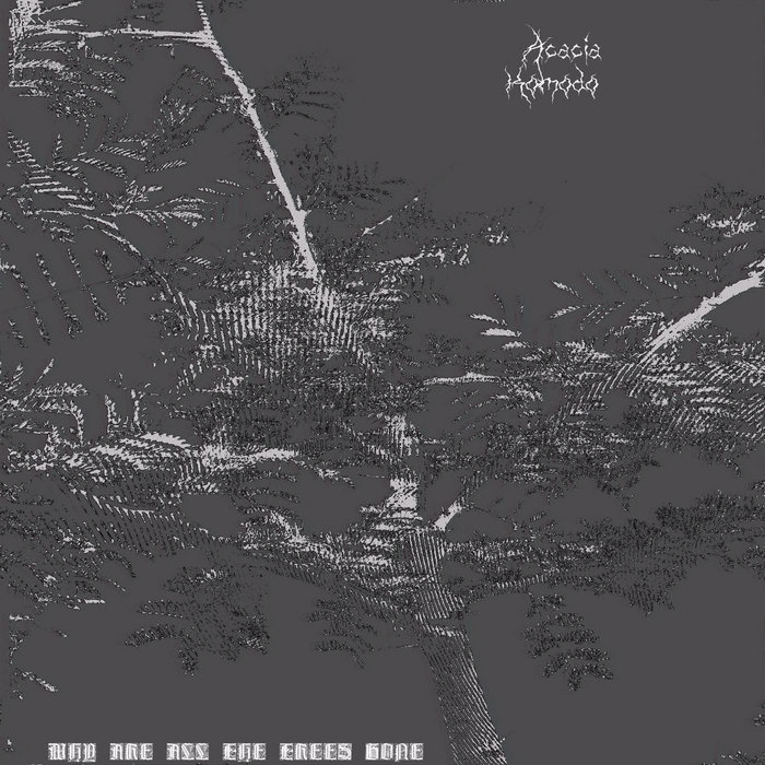 Why Are All The Trees Gone? | Acacia Komodo