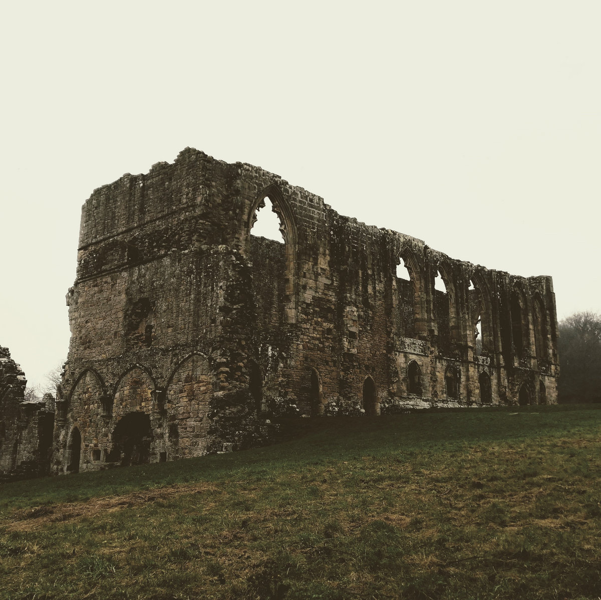 Heady Daze | Vinny Vortex