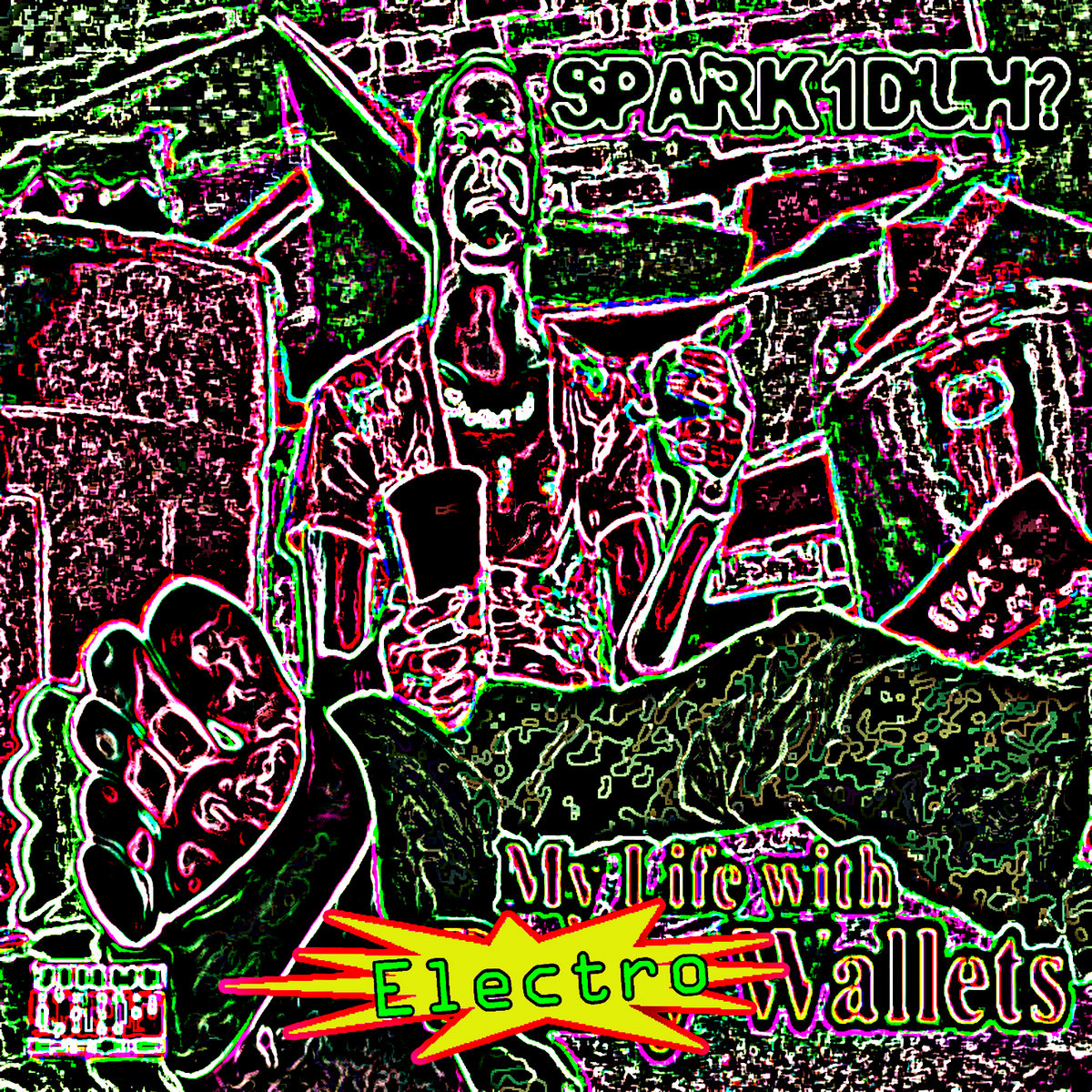 My Life with Electro Wallets | Spark1duh? & Benjamin Jost | Spark1duh ...