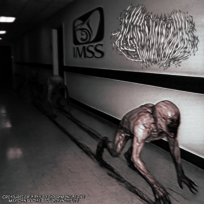 Creatures of a Failed Experiment at the Mexican Social Security ...