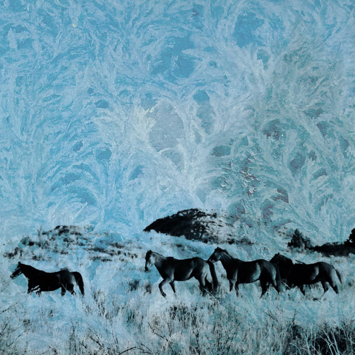 Snow Falling On Horses | Martha Scanlan & Jon Neufeld | Martha Scanlan