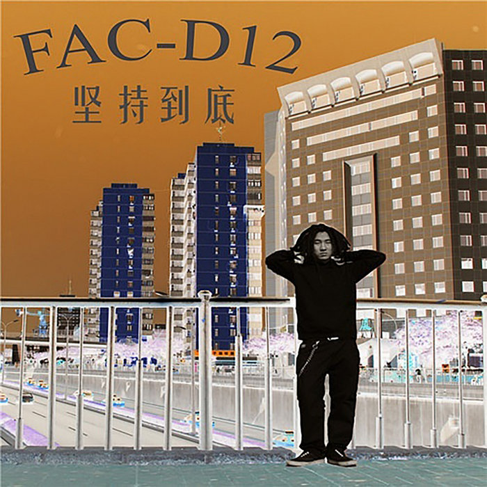 坚持到底 | FAC-D12 | undaloop records