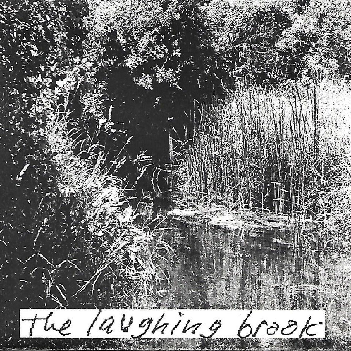 The Laughing Brook | The Laughing Brook | sir k'yelb | bleyworld ...