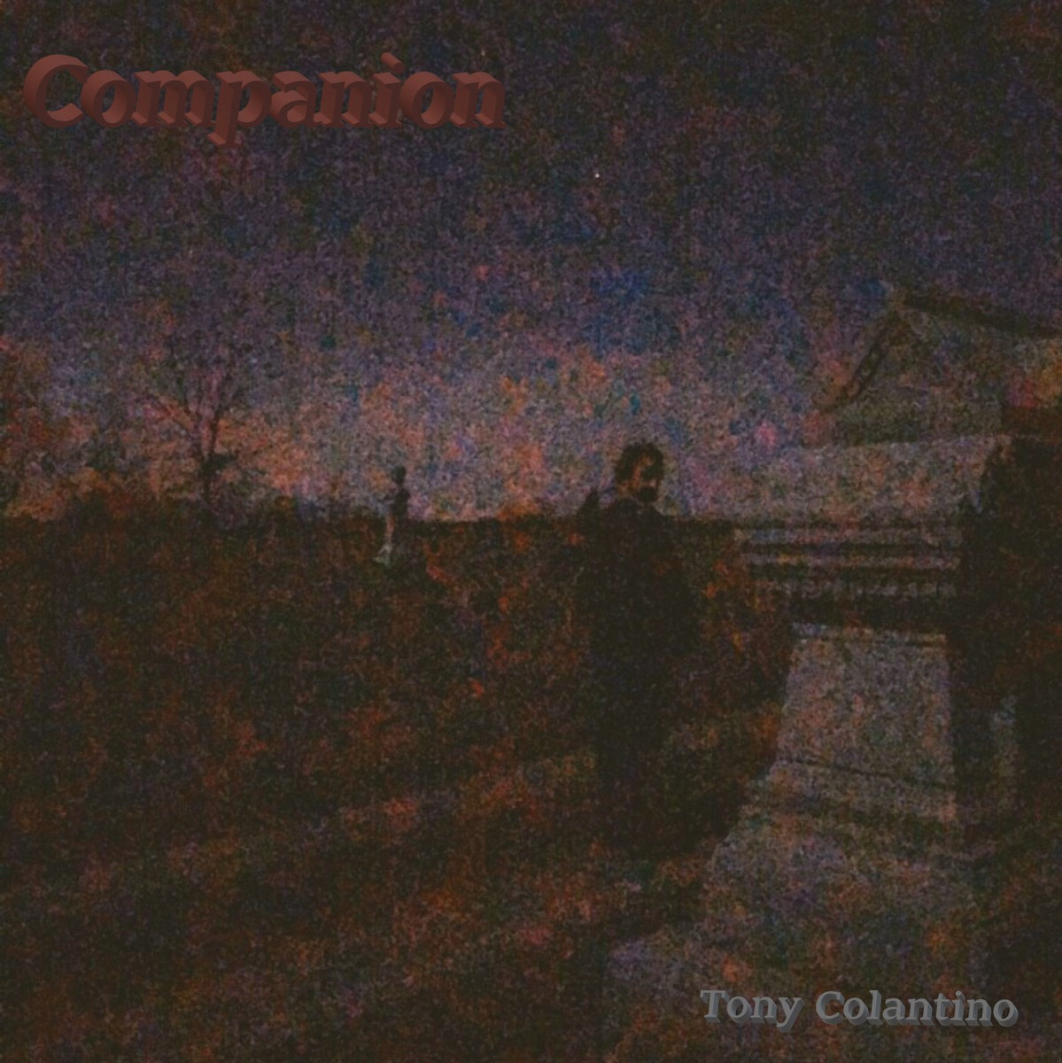 Companion | Tony Colantino