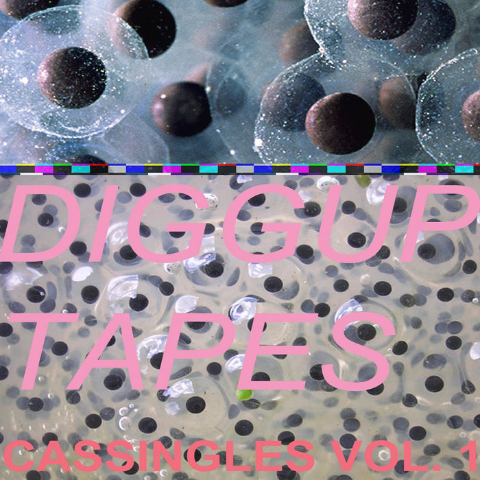 Cassingles Collection Vol. 1 | Various Artists | DiggUp Tapes