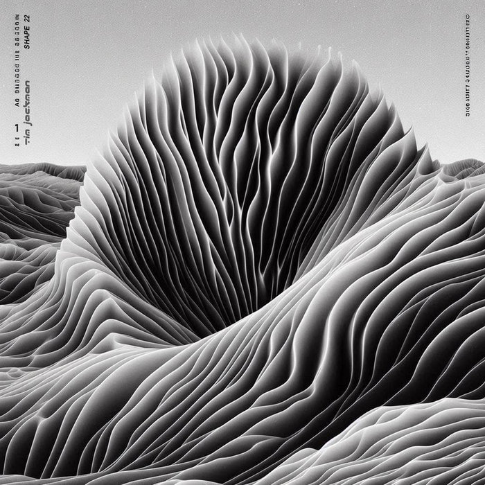 Shape 22 | Tim Jackman