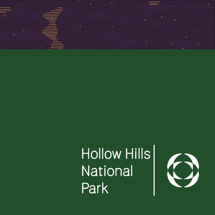 A Desert Road | Michael Berto | Paws Menu