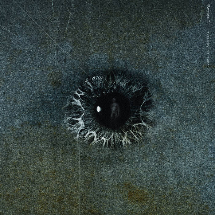 Tool Aenima Eye
