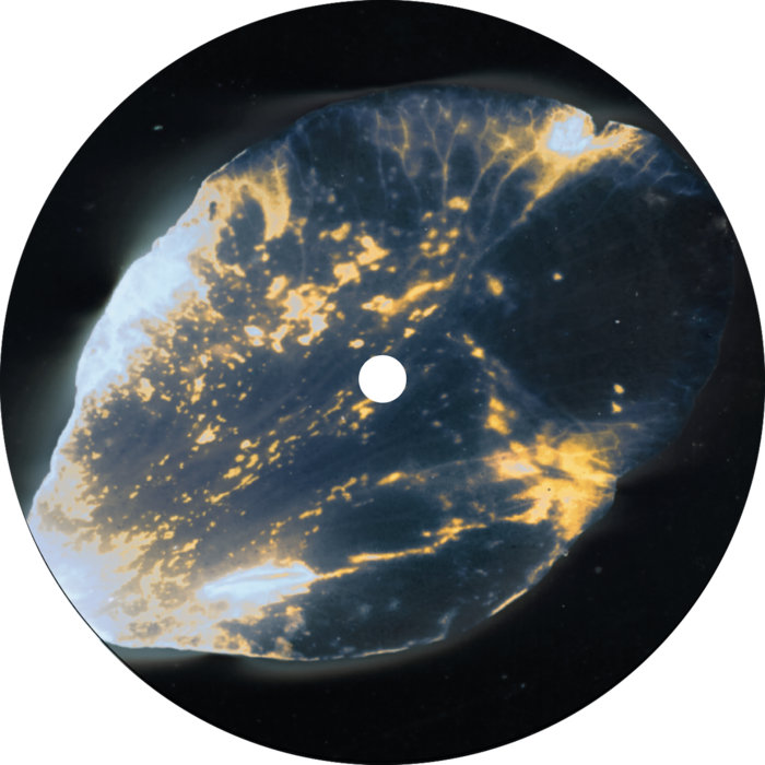 Entangle Ep | Hydergine | Ranges