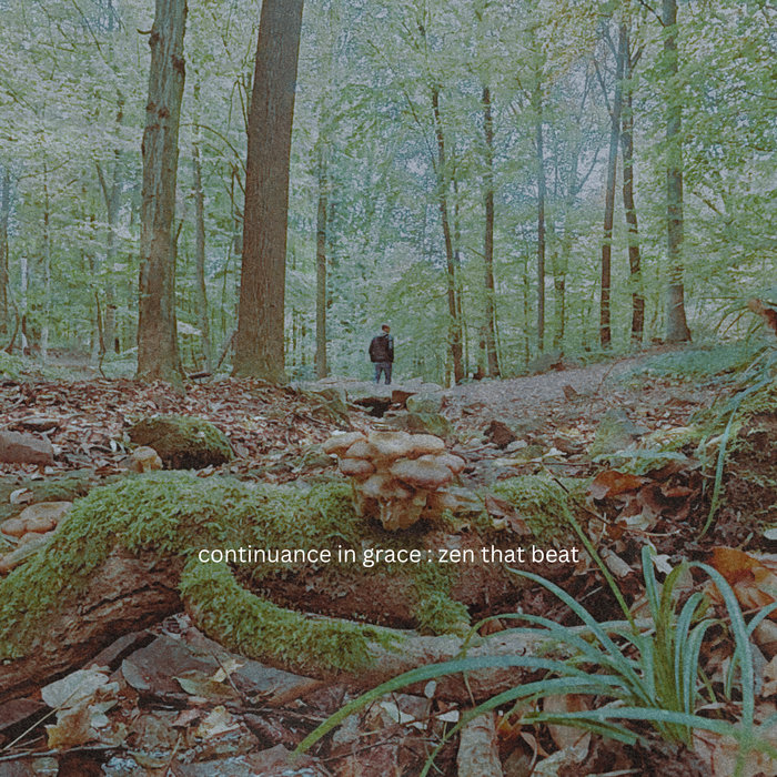 Continuance In Grace | Zen That Beat