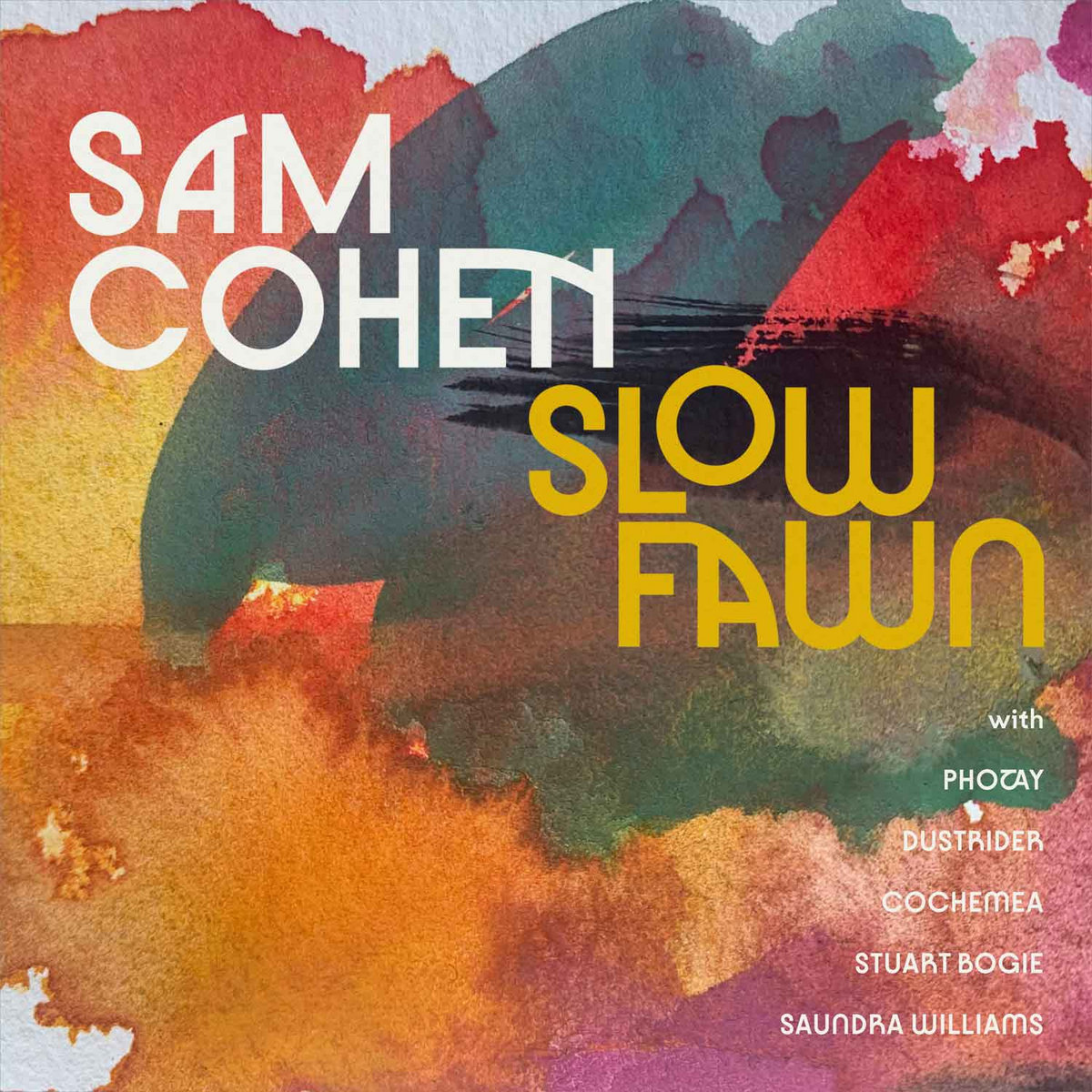 Slow Fawn | Sam Cohen