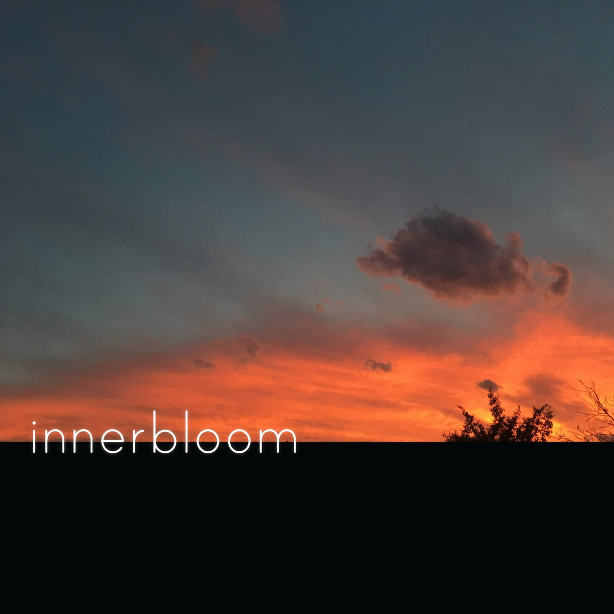 Innerbloom - (RUFUS DU SOL Cover) | Innerbloom
