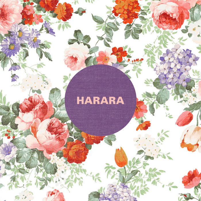 Untitled 4 | Harara