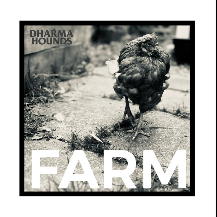 FARM | Dharma Hounds