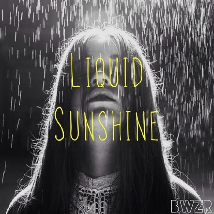 Liquid Sunshine - Single | Bowzer