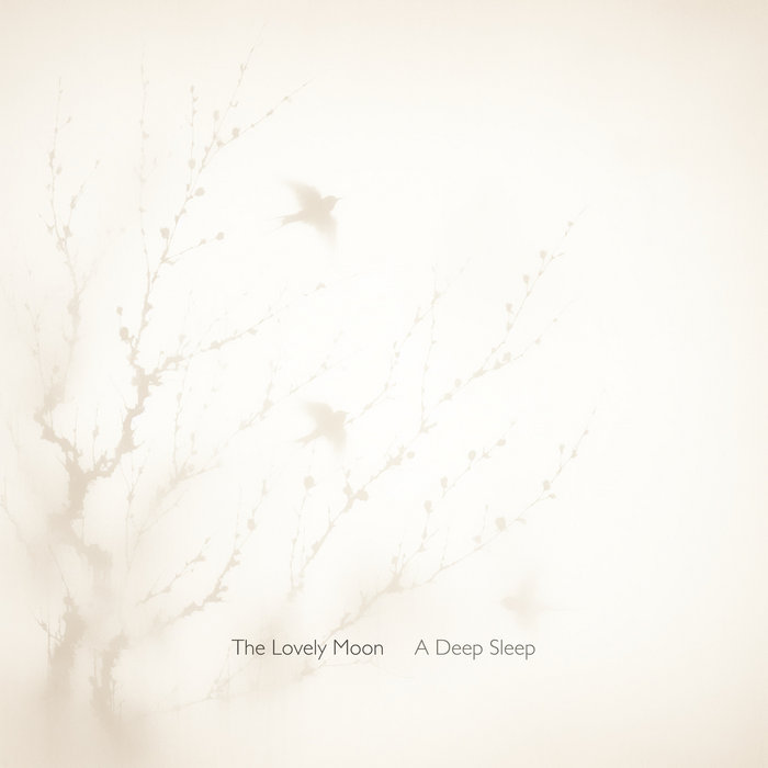 A Deep Sleep | The Lovely Moon