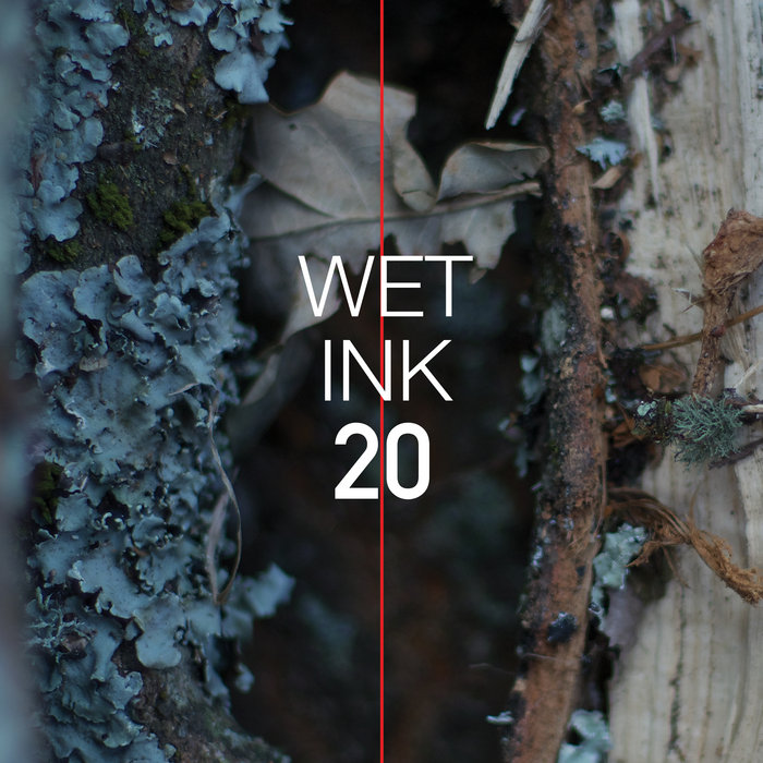 Wet Ink: 20 | Wet Ink Ensemble | Carrier Records