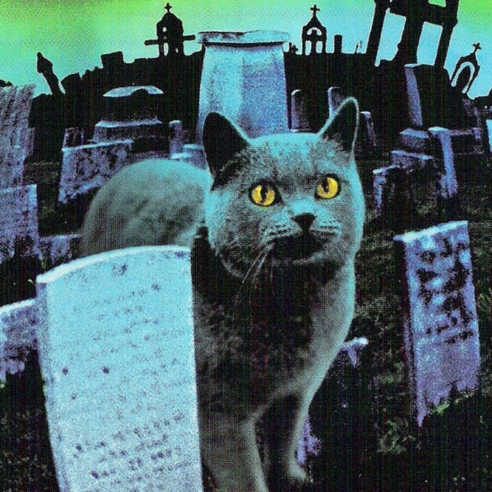 Pet Sematary Cat