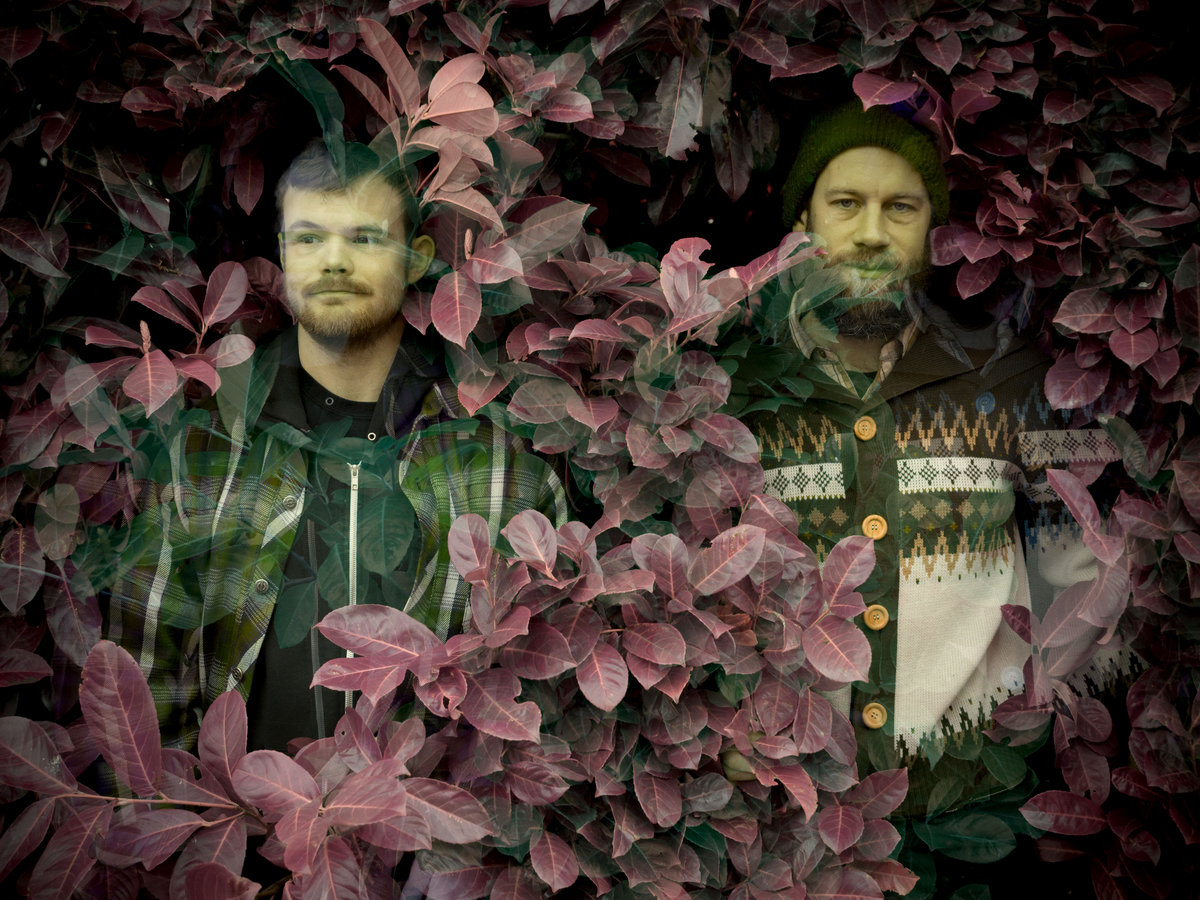 Wig-Hats | The Scrunt Brothers