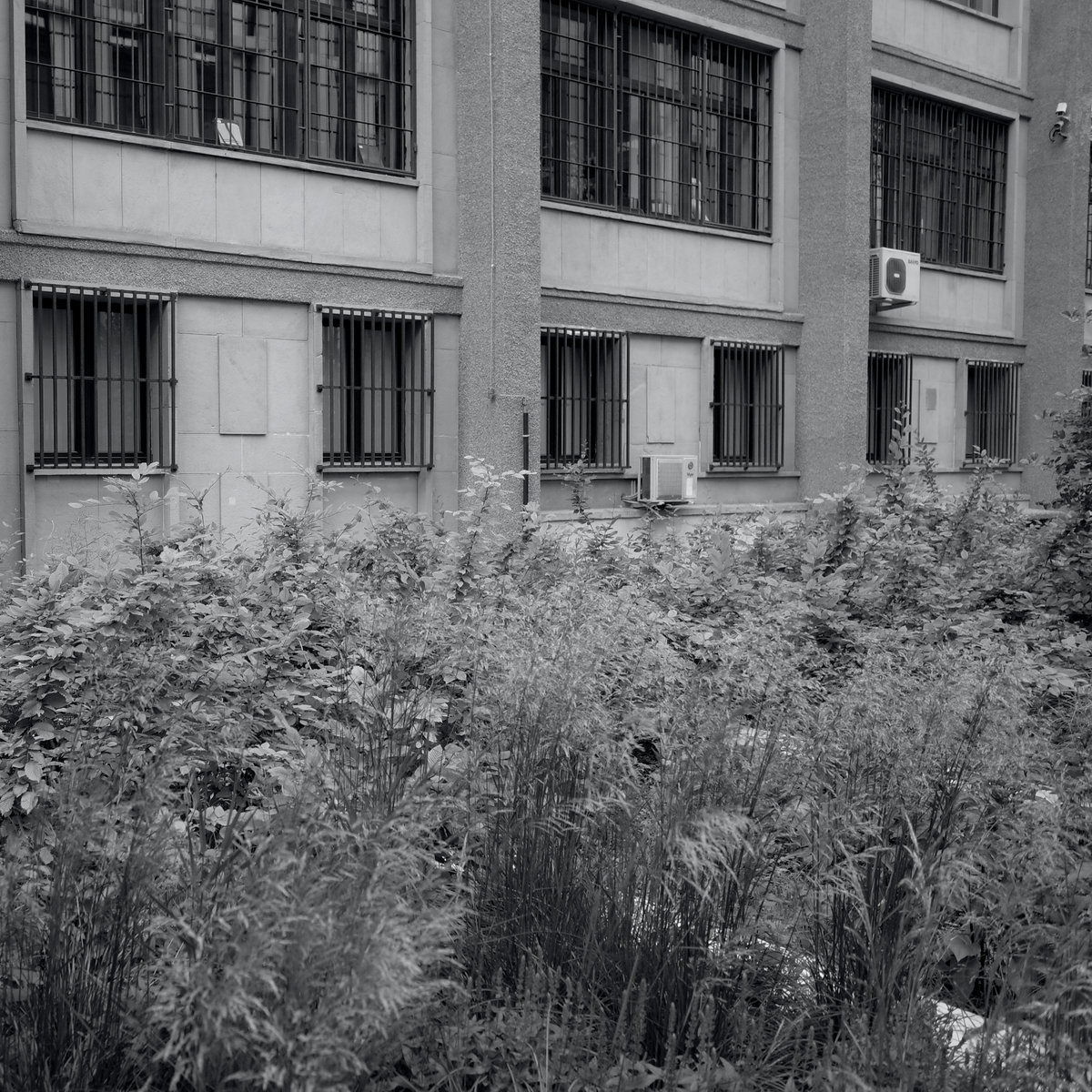 how to wave back | Baule