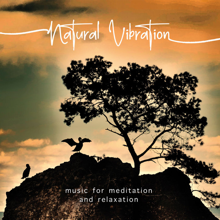 Natural Vibration - music for meditation and relaxation | Sun Drum Forest