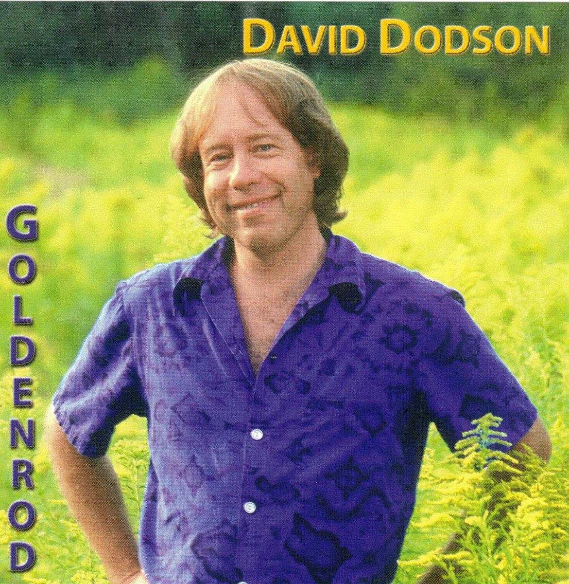 Goldenrod | David Dodson