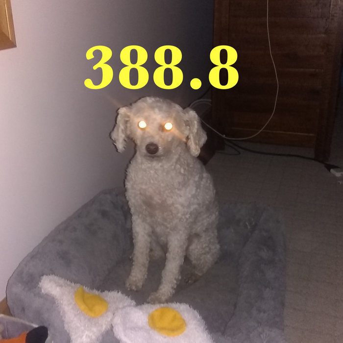 388.8 | Garth Anderson