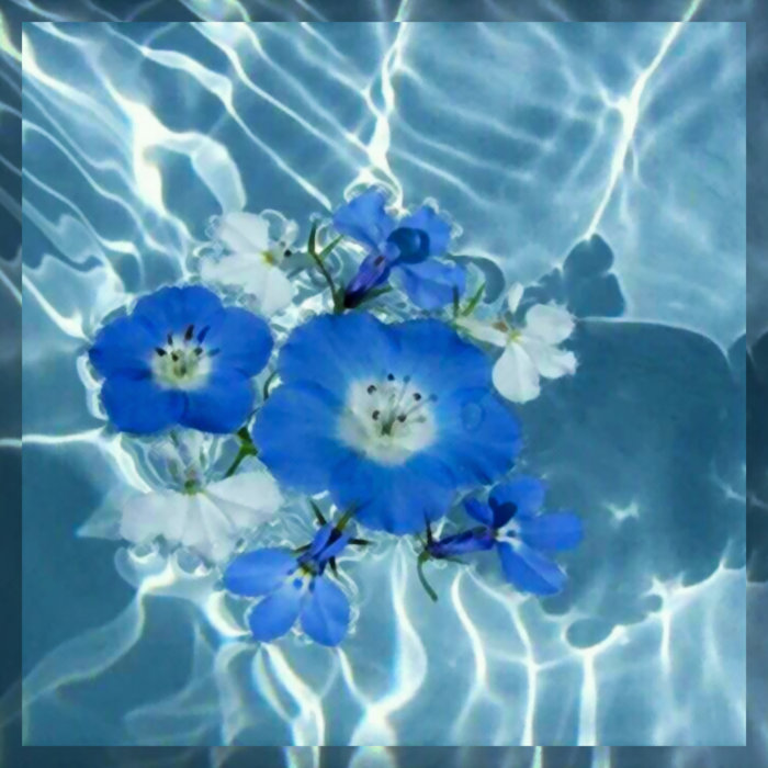 Turquoise | Yokohama / 夢想家 bliss | DeepSea