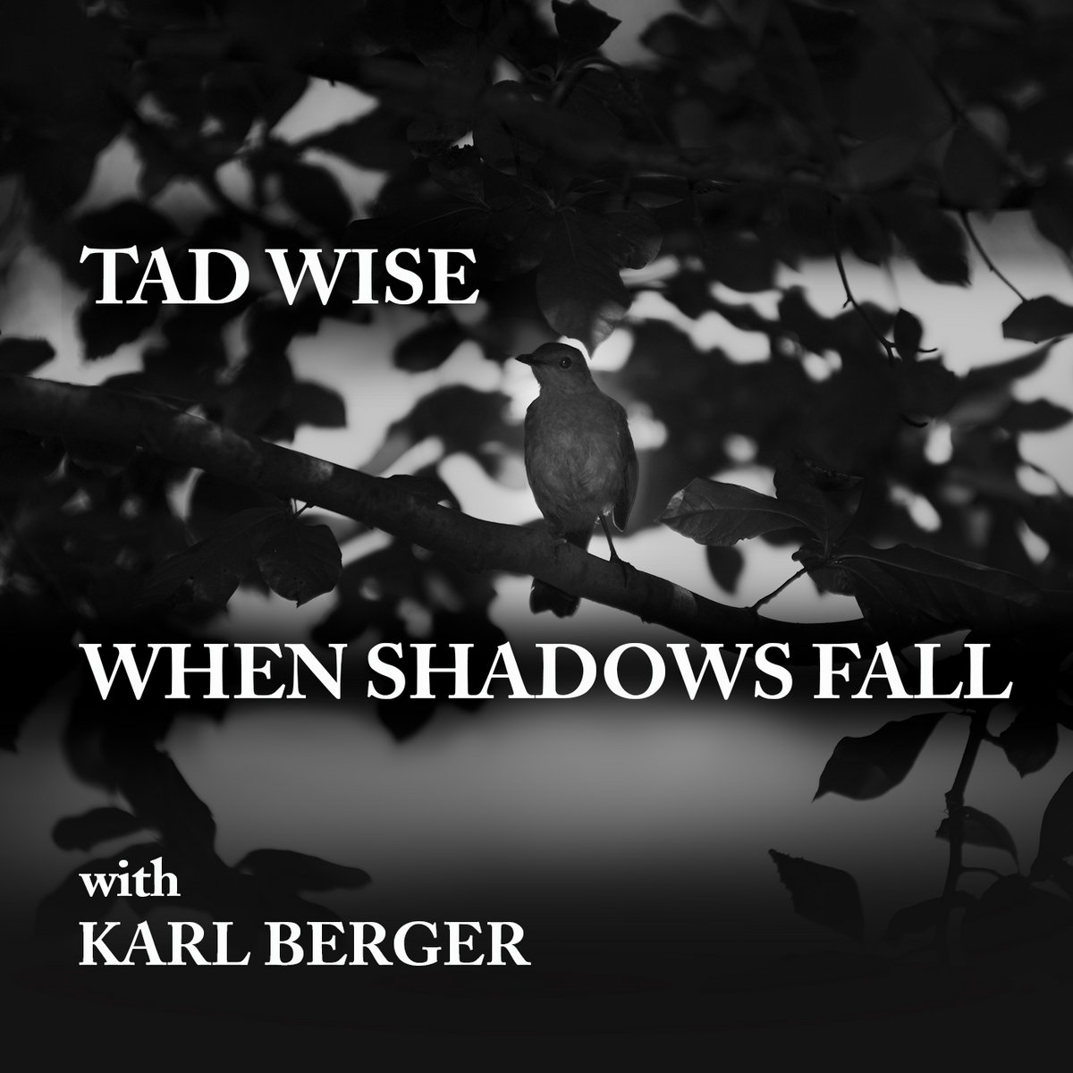 When Shadows Fall | Tad Wise