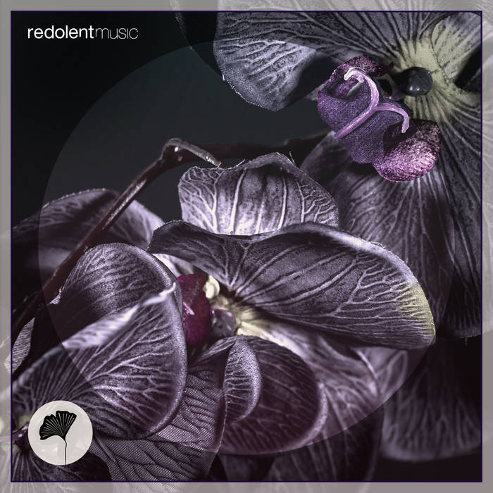 Jaalex, La Santa - Wear Black | Jaalex, La Santa | Redolent Music