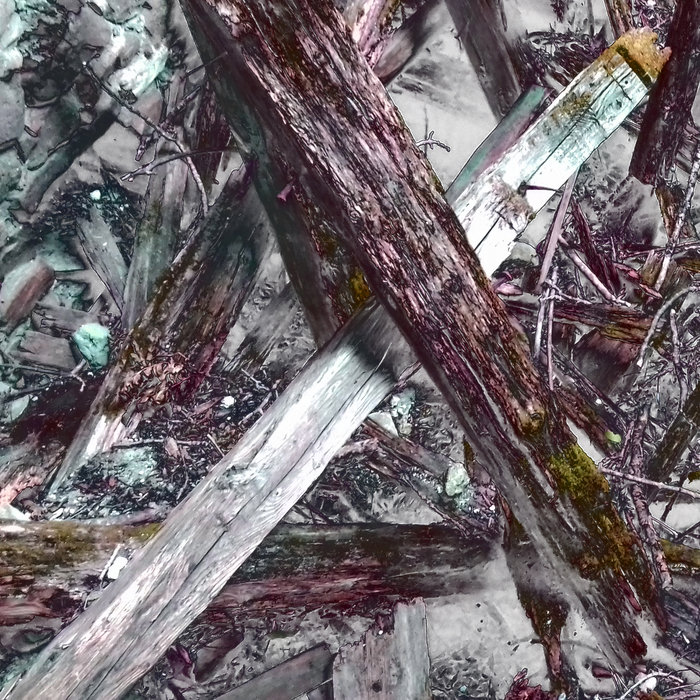 Wisecrack | Shird Leopart