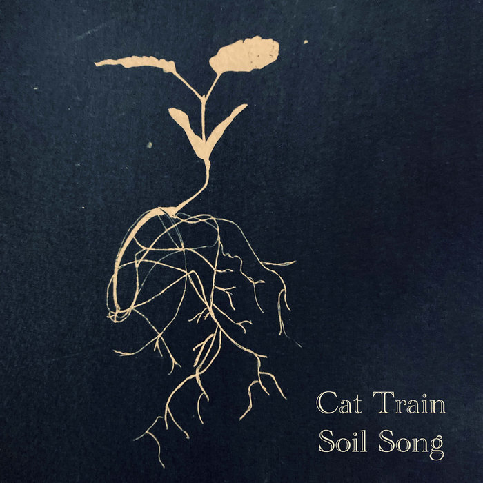 Soil song | Cat Train