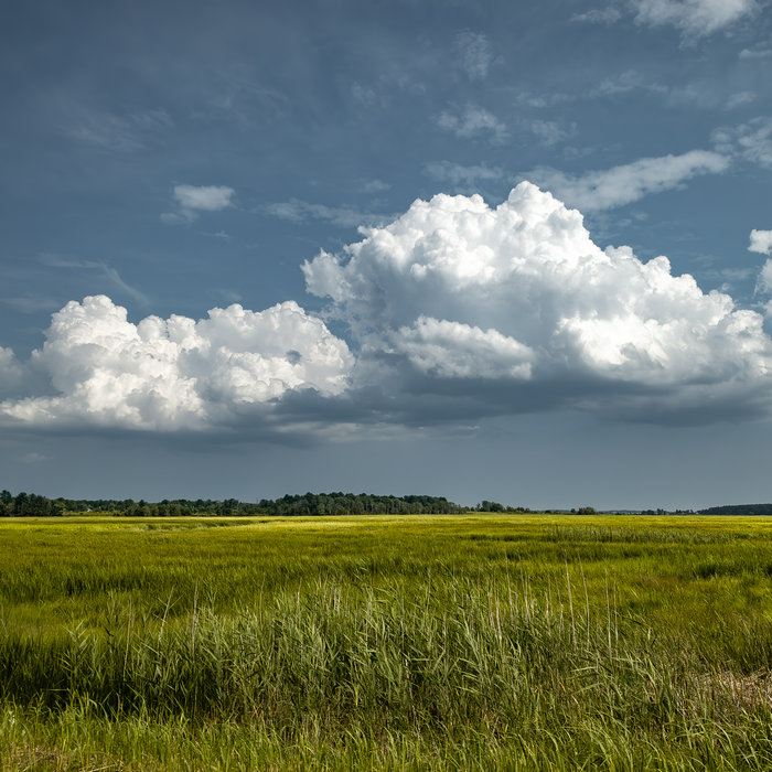Cotton Roof | Asprent