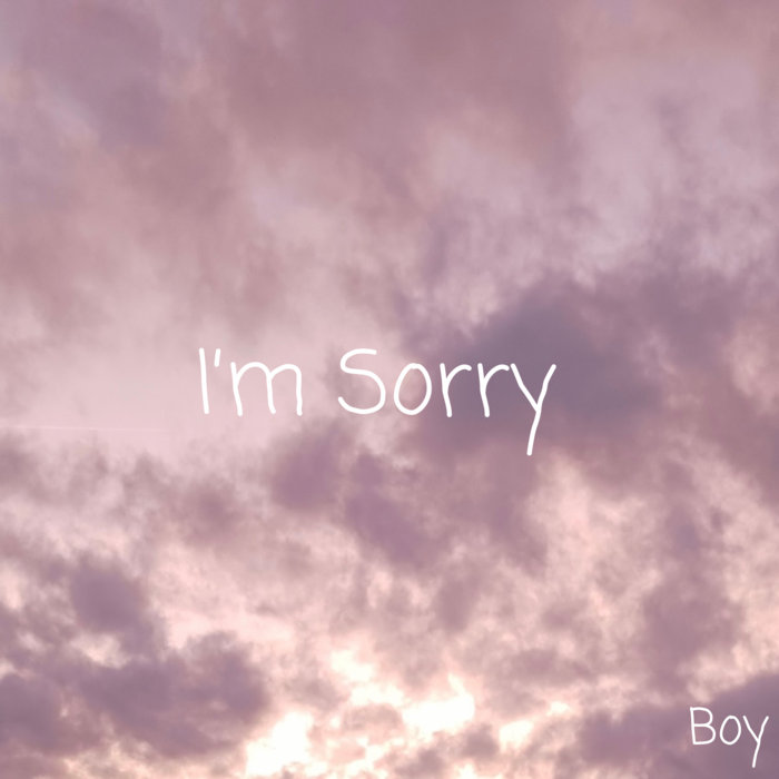 I'm Sorry | Boy