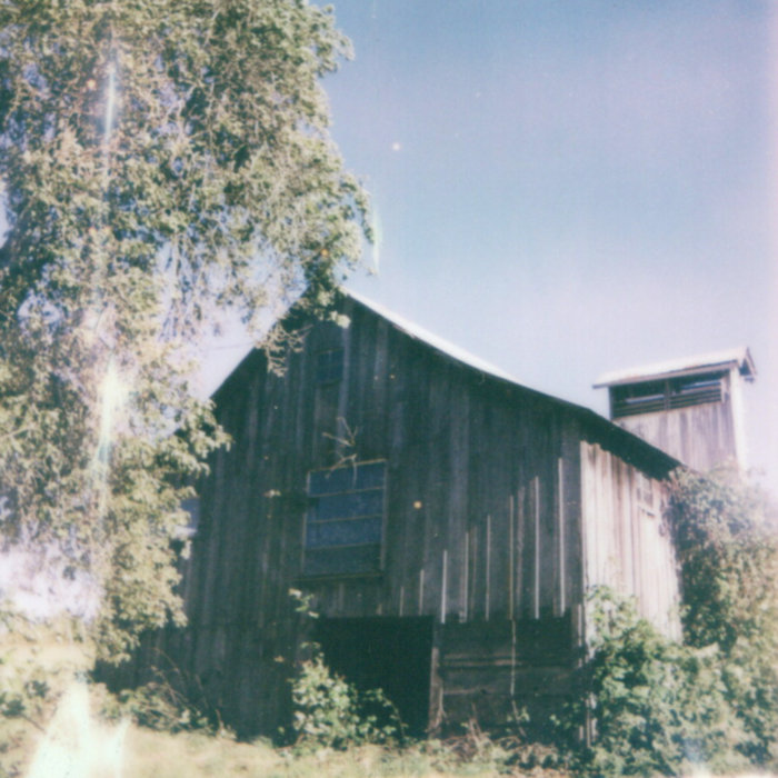 Montgomery (I'm Outta Here) DEMO | Violet Anderson