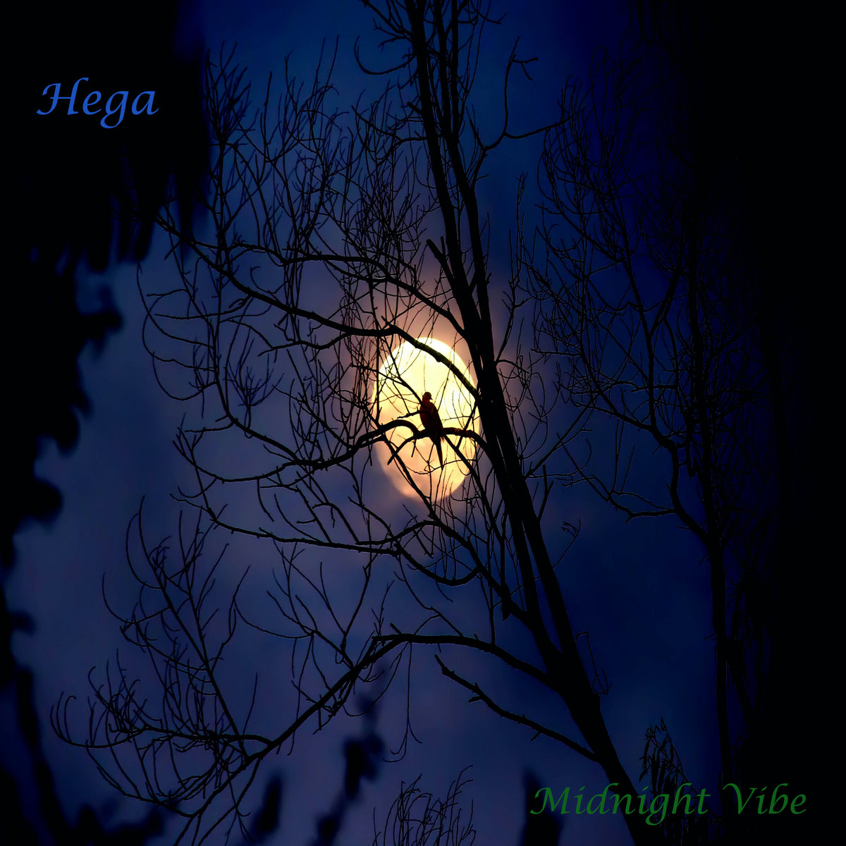 Midnight Vibe | Hega