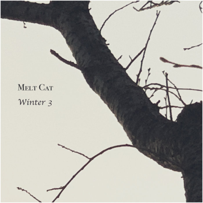 Winter 3 | Melt Cat