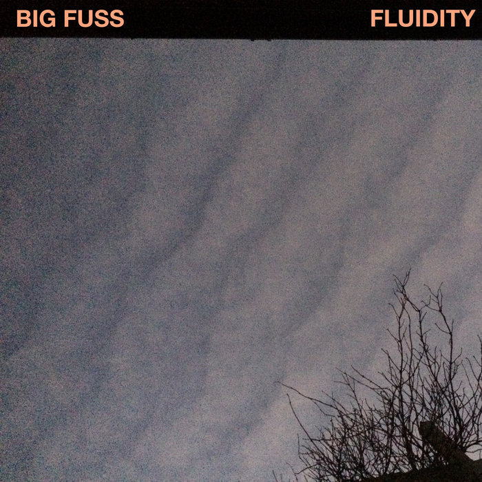 Fluidity | Big Fuss