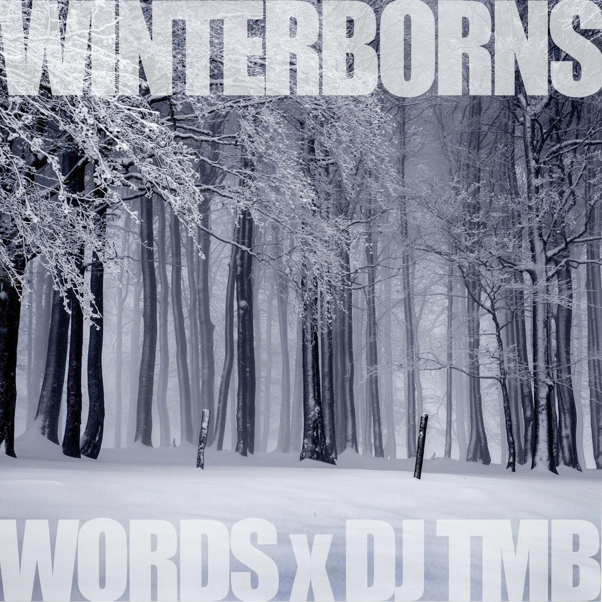 Winterborns | Words X DJ TMB | Words